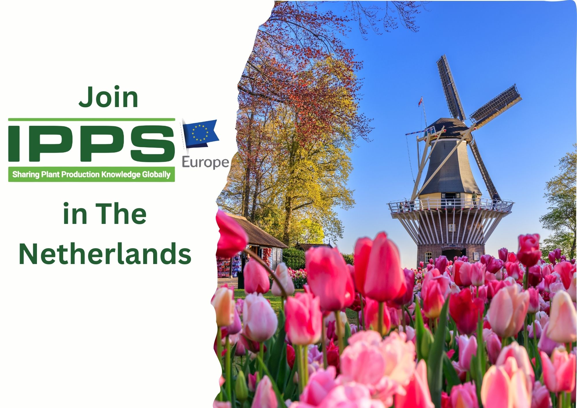 IPPS Europe